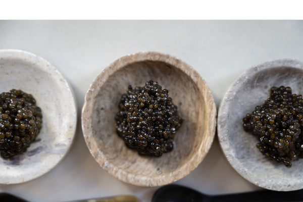 Caviar Baeri | Astara | Boutique en Ligne