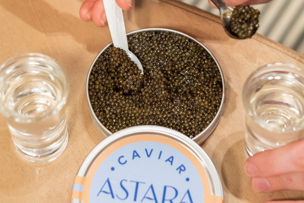 Astara 1981 | Boutique en ligne